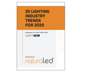 25 Lighting Industry Trends for 2025: Part II - US Lighting Trends